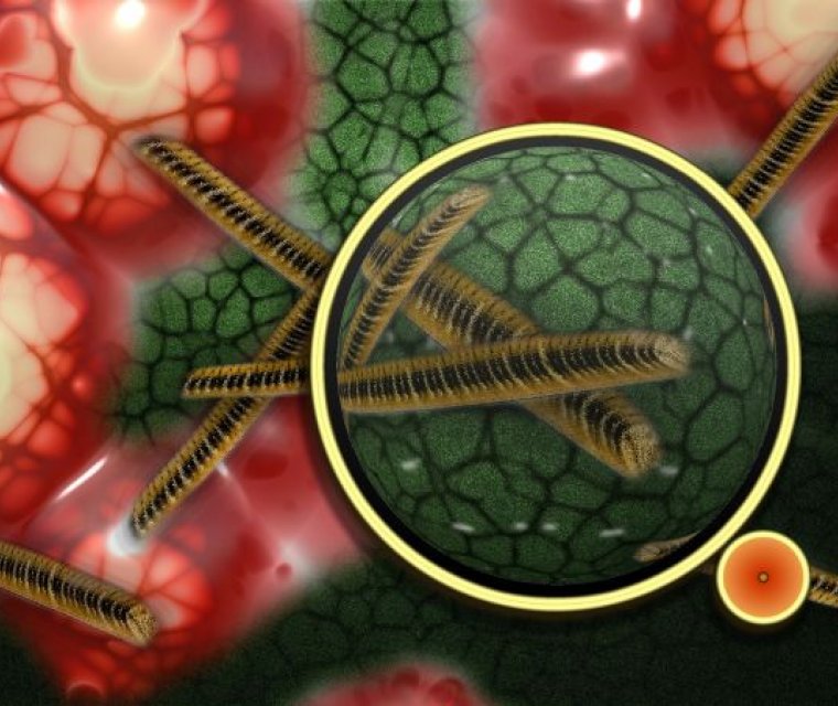 Aktualności / Czym jest sepsa? – objawy, przyczyny, leczenie